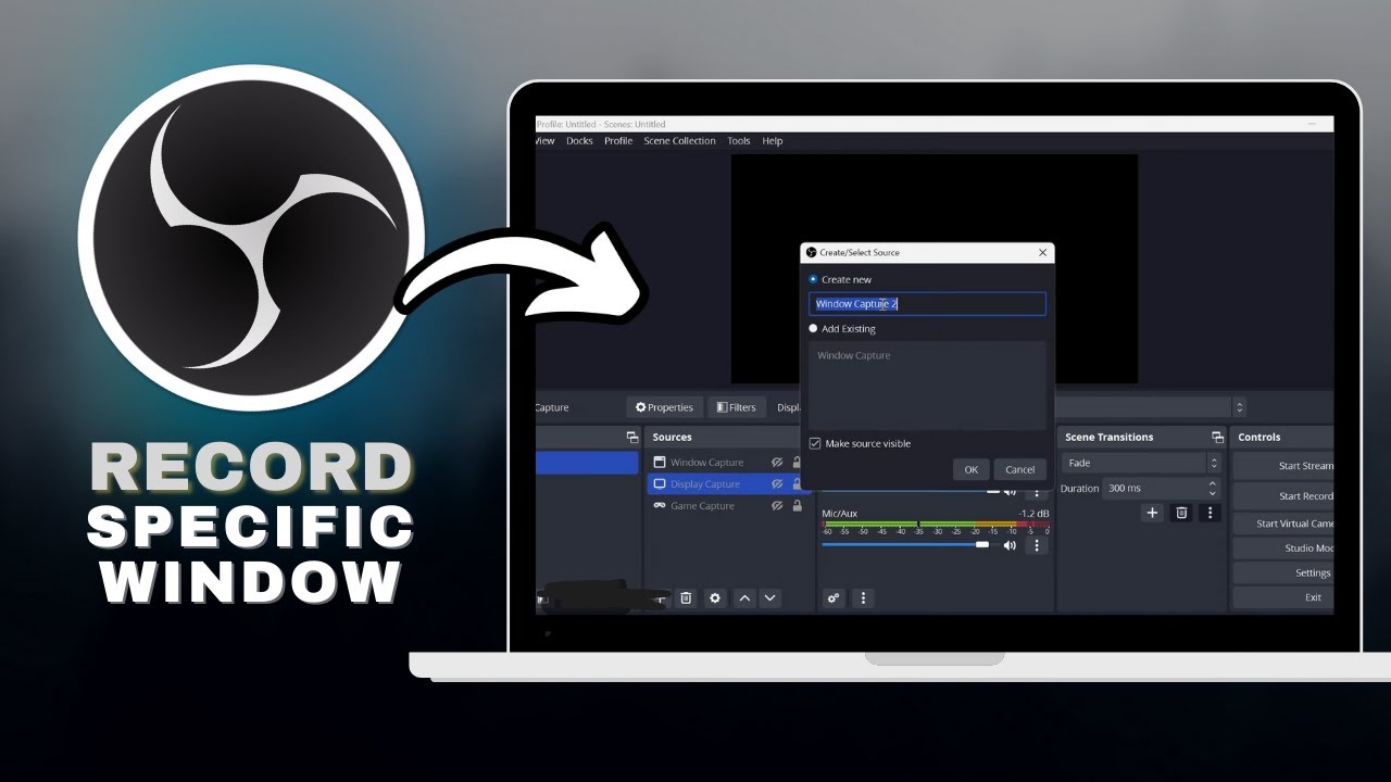 How To Record Specific Window In OBS in SECONDS! - YouTube