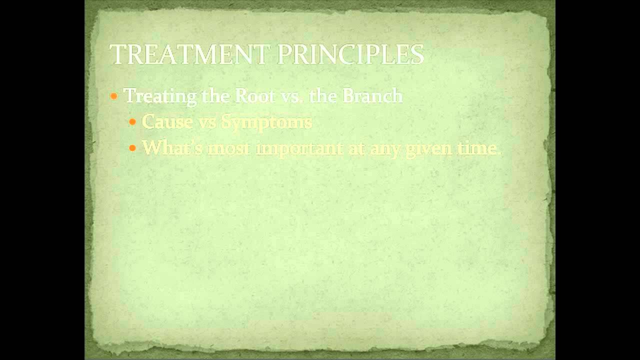 Treatment Principles in Chinese Medicine: Branch vs Root - YouTube