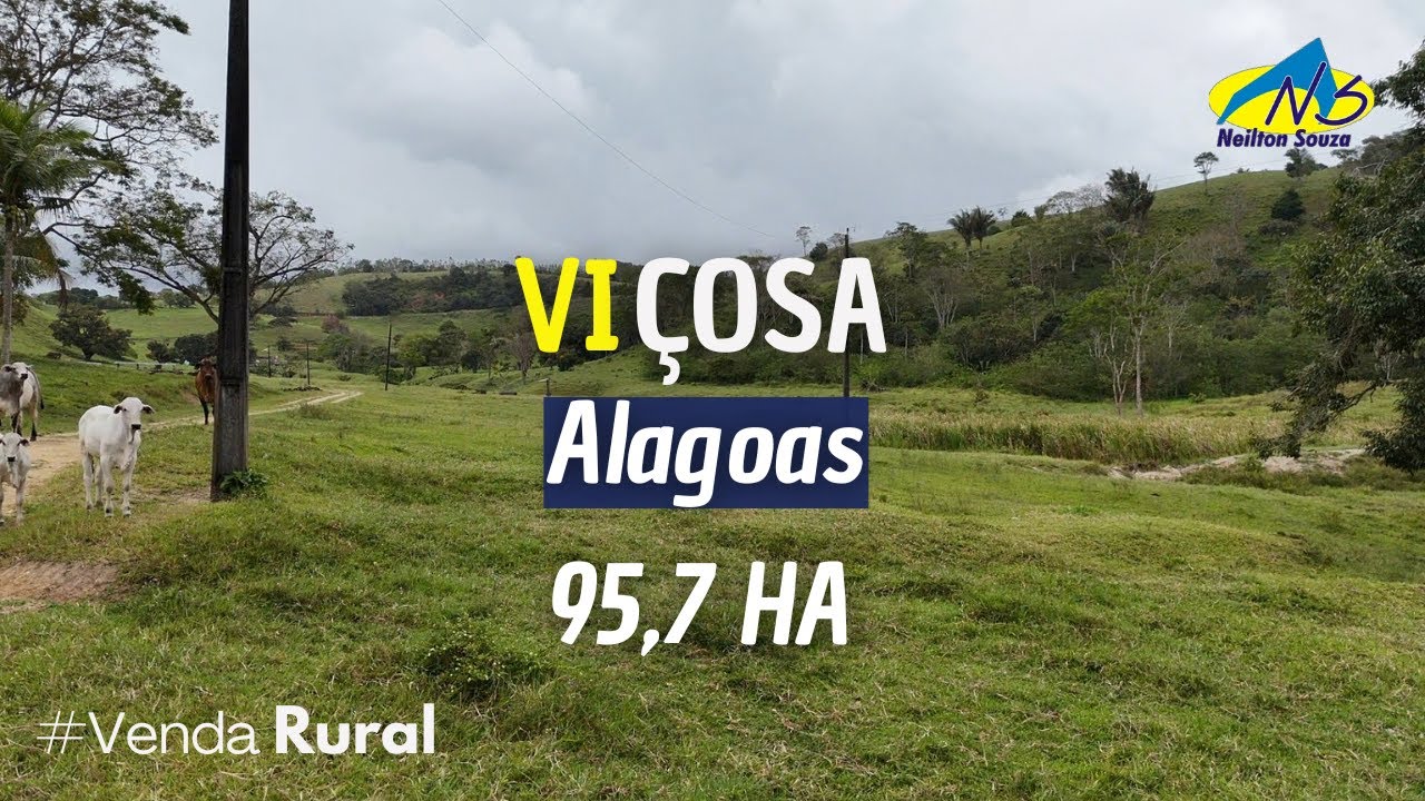 Maravilhosa Propriedade à venda em Viçosa - AL de 95,7 hectares. - YouTube