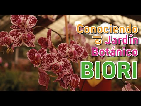 ¡Vamos a conocer el Jardín Botánico BIORI! - YouTube