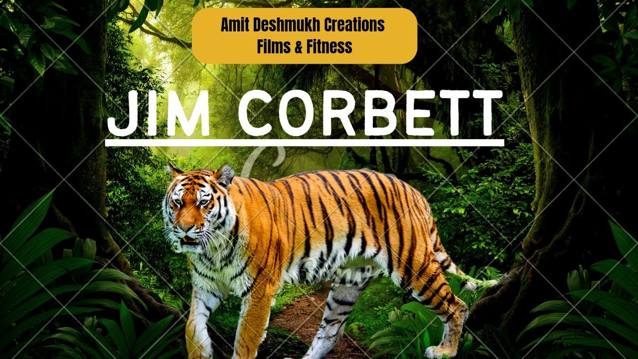Jim Corbett - Jungle Safari - YouTube