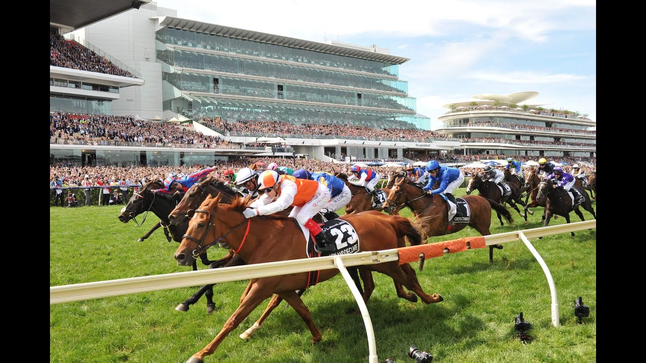 Horse Racing Global Live TV - YouTube