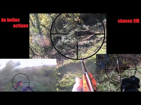 Chasse au sanglier Gard 2020 Belles actions - YouTube