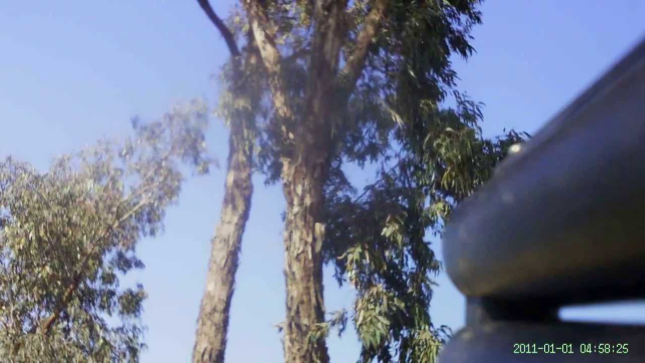 κυνηγι Φασσας στην Κυπρο Double - YouTube