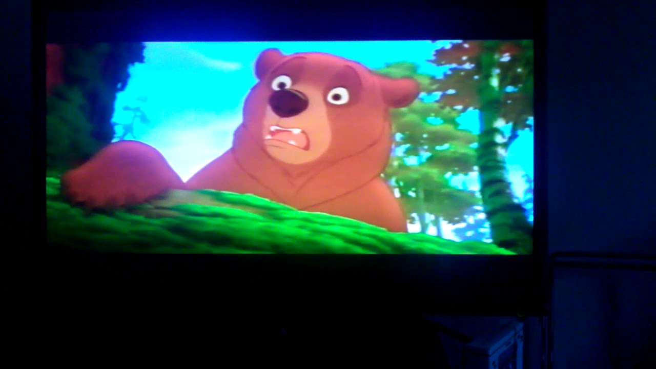 Opening to Winnie the Pooh Springtime with roo UK vhs 2004 - YouTube