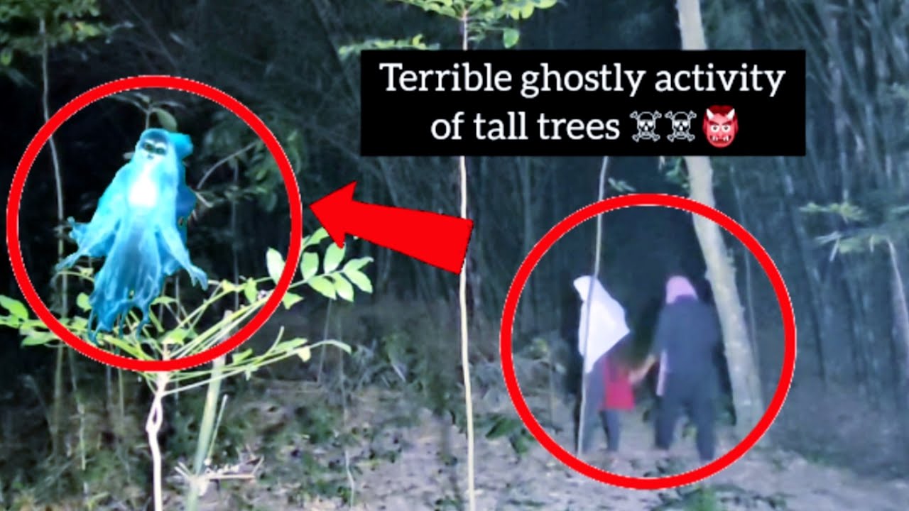 Terrible ghostly activity of tall trees|ghost #aahat #horror # ...