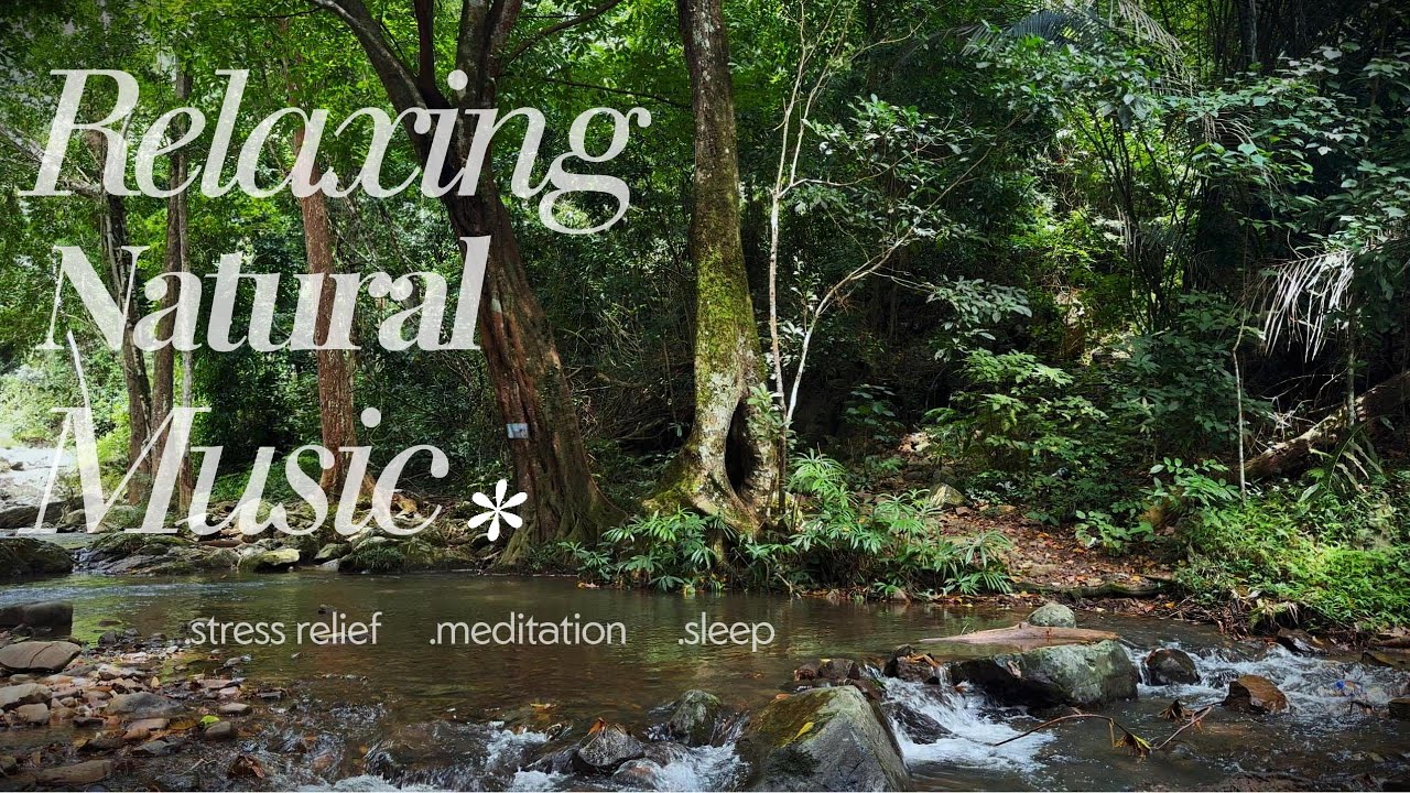 Relaxing Music Natural Deep Healing Meditation for Stress Relief Sleep ...