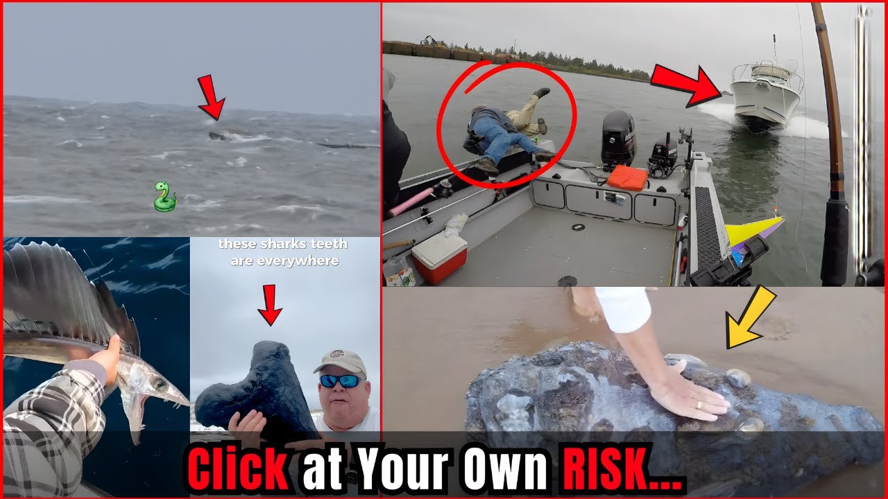 Terrifying Fishing Encounters Caught on Camera | Shocking Encounter EP4 ...
