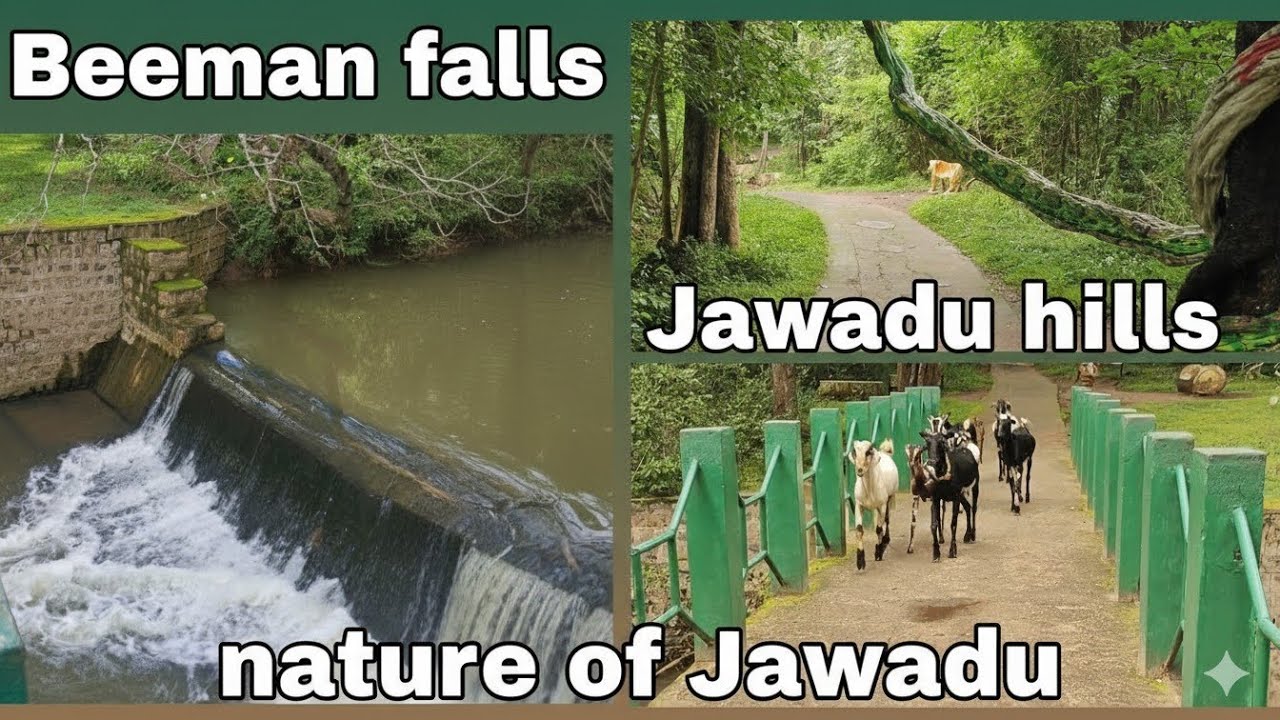 jawadhu hills tourist places | Beeman falls | ஜவ்வாது மலையின் அழகு ...