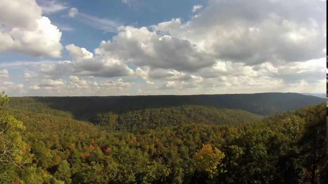 Bee Rock Timelapse - YouTube