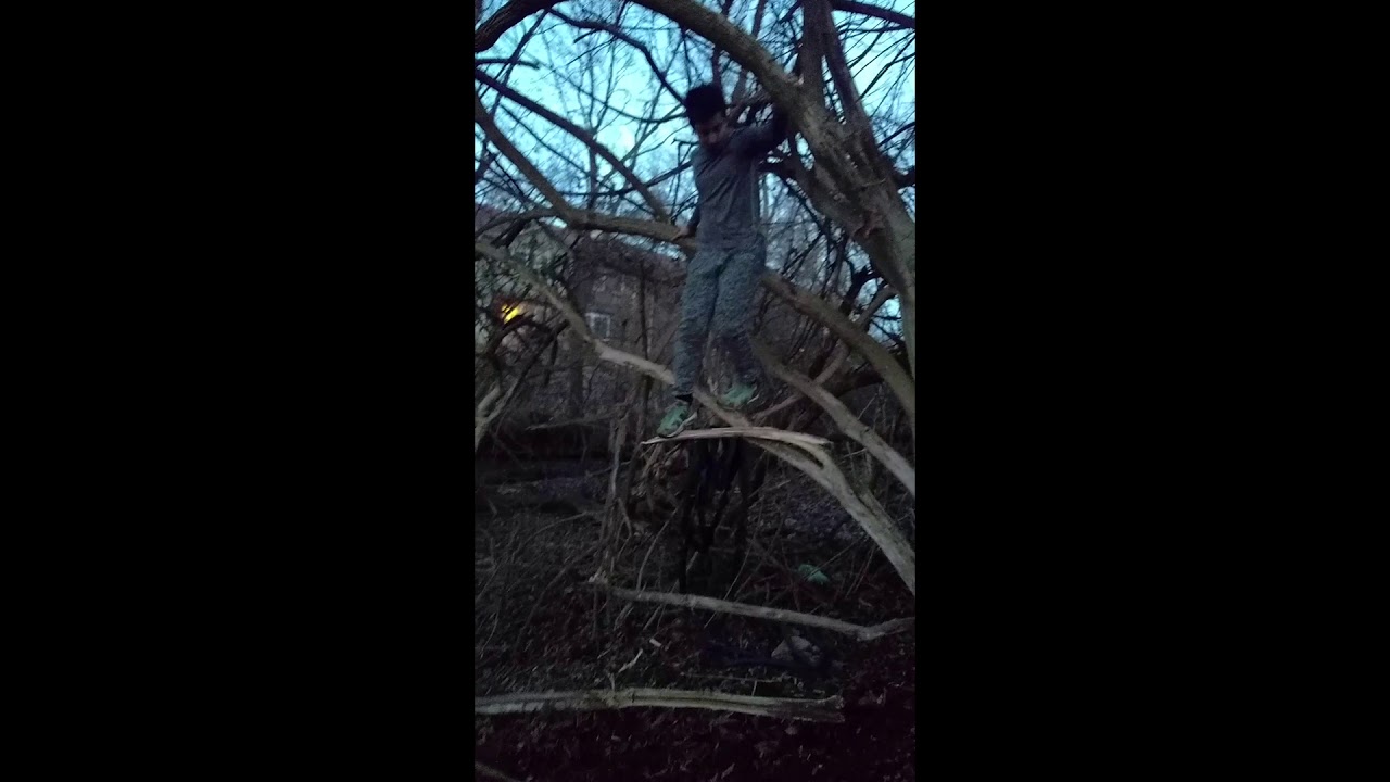 BOY FALLS FROM TREE - YouTube