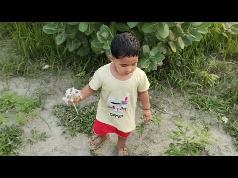 Natural Place of Rupganj Narayanganj. - YouTube