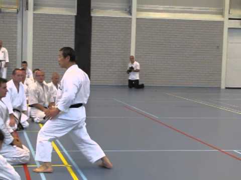 Kagawa-sensei demonstrating yoko-geri keage and yoko-geri kekomi - YouTube