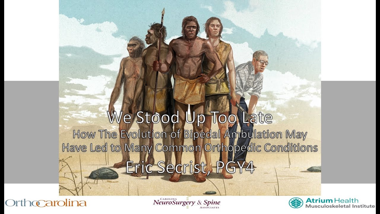 How the Evolution of Bipedal Ambulation May Have Led to Many Common ...