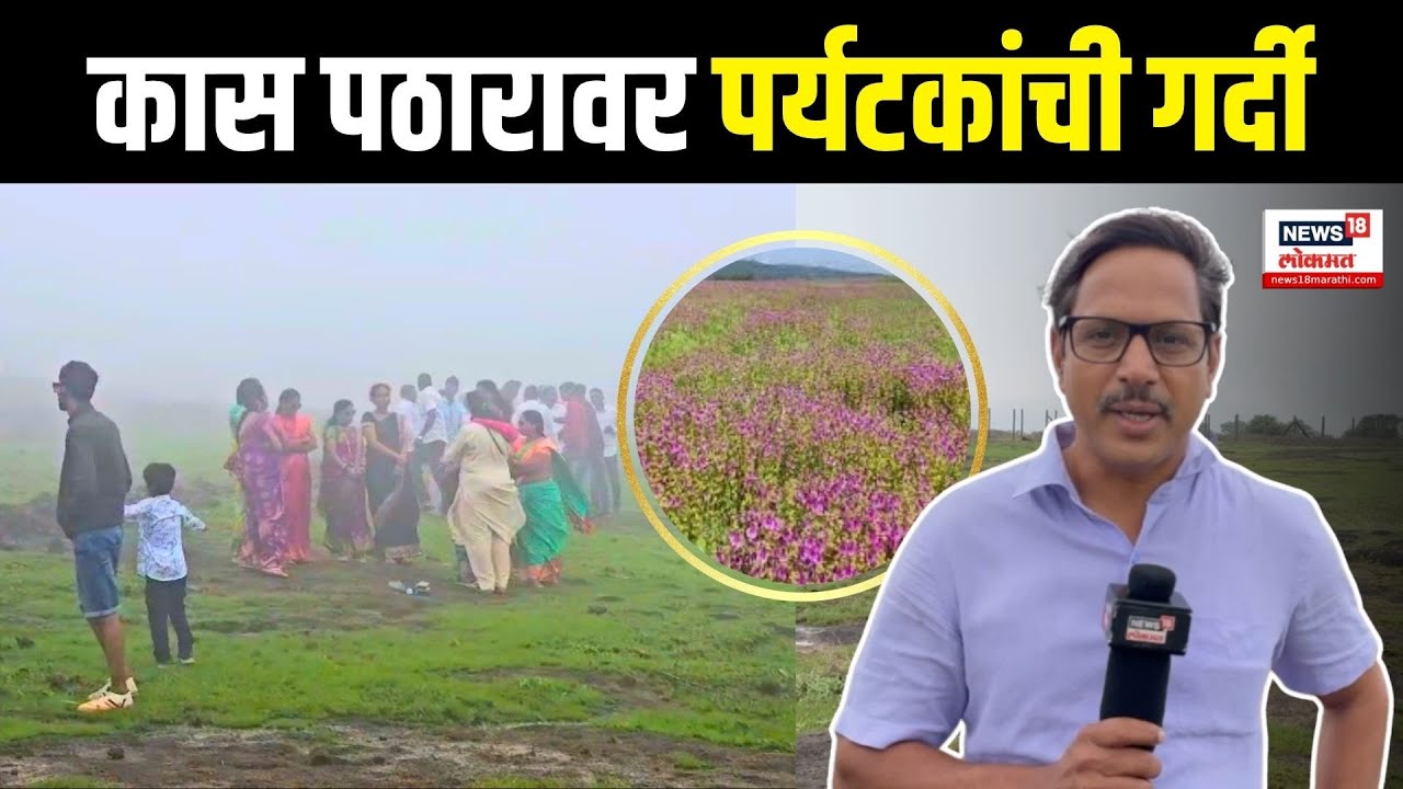 Satara Kas Pathar | जागतिक वारसास्थळ कास पठार फुलला, हिरवं गार कास ...