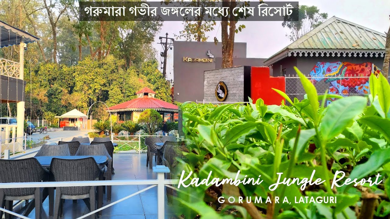 KADAMBINI JUNGLE RESORT GORUMARA, LATAGURI | গরুমারা গভীর জঙ্গলে শেষ ...