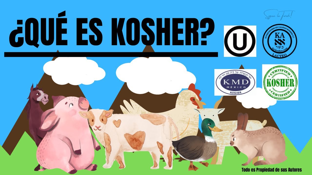 🔴🍎¿QUÉ ES KOSHER?, ANIMALES IMPUROS, LEVÍTICO 11 Y MÁS! por el Roeh Dr ...