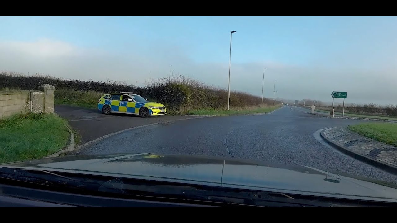 Sheep to Ruswarp 28th November - YouTube