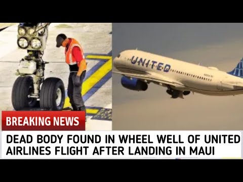 Dead Body Found in Wheel Well of United Airlines Flight After Landing ...
