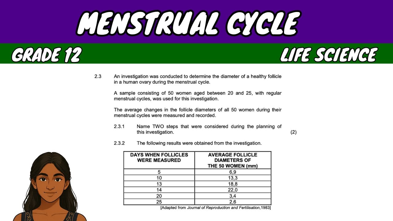 Menstrual Cycle | Grade 12 Life Science - YouTube