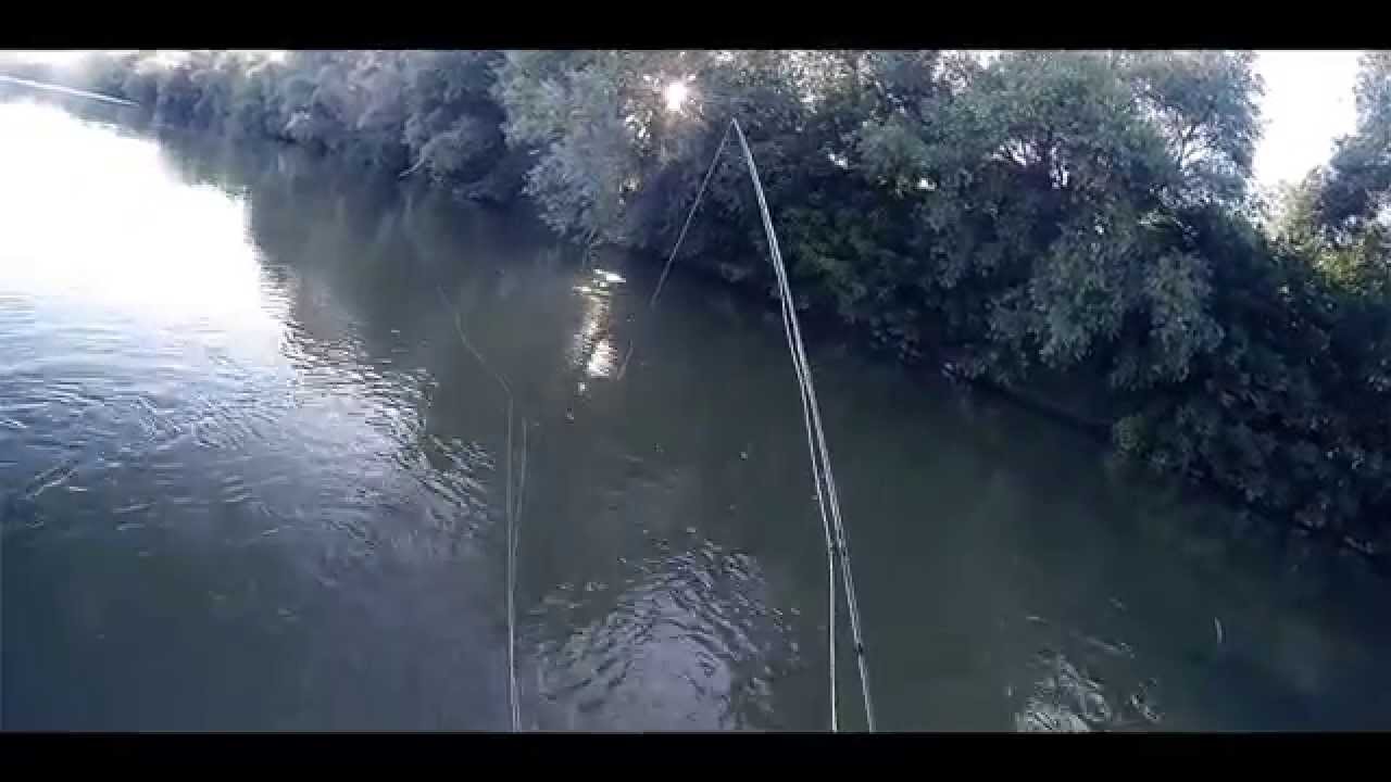 Timis river - end of June - YouTube