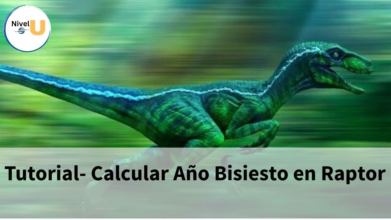 Tutorial Año Bisiesto Raptor #raptor #raptortutorial #raptorejercicios ...