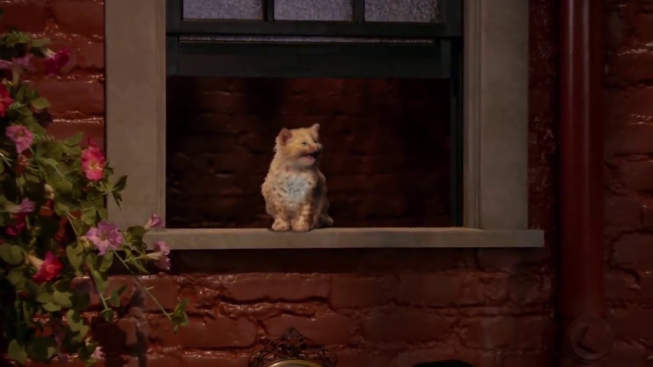 Mimsie the Cat in Hot in Cleveland - YouTube