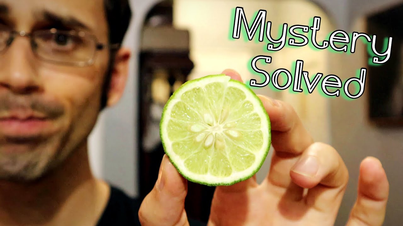 Another Mystery Lime SOLVED (In Poorly Executed 4K!) - Weird Fruit ...