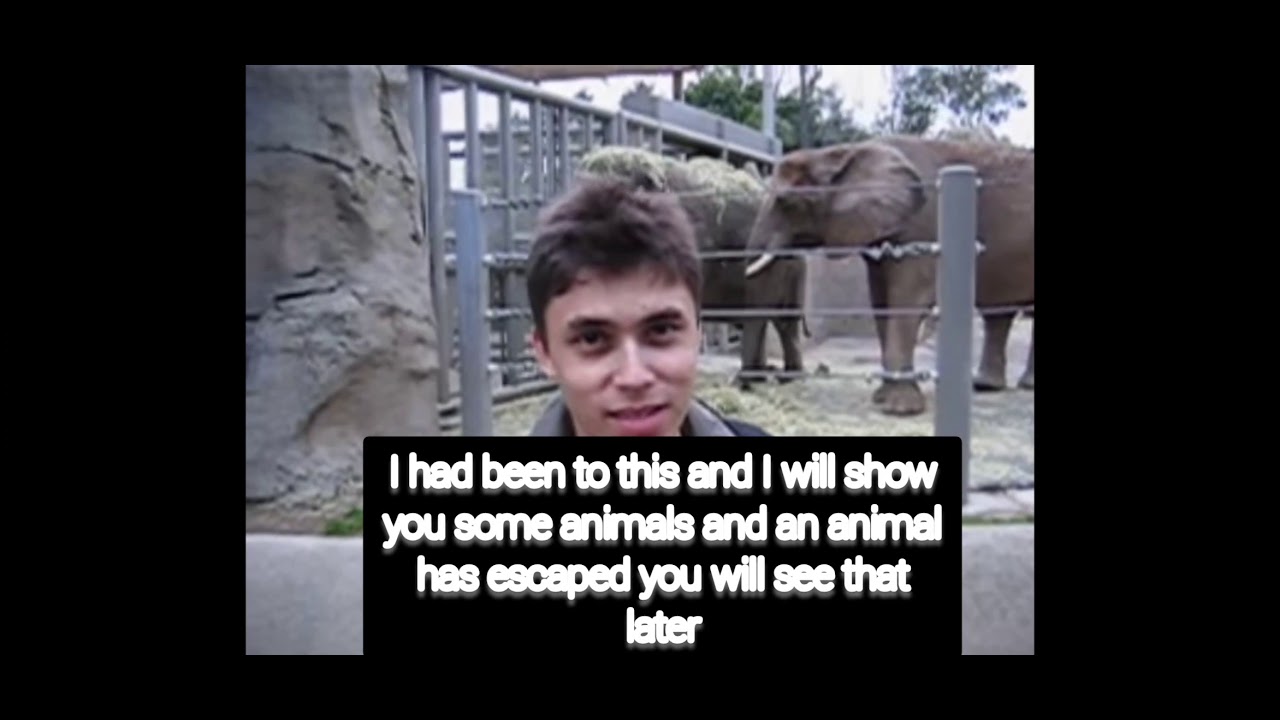 me at zoo with animals - YouTube