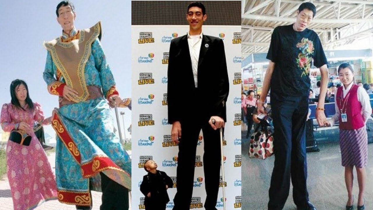 Top 10 Tallest Men In The World | tallest man in the world | 8 foot ...