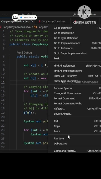 Copy Values in One Array to other|Individual Element Method|@CodingwithShameera1 #java # ...