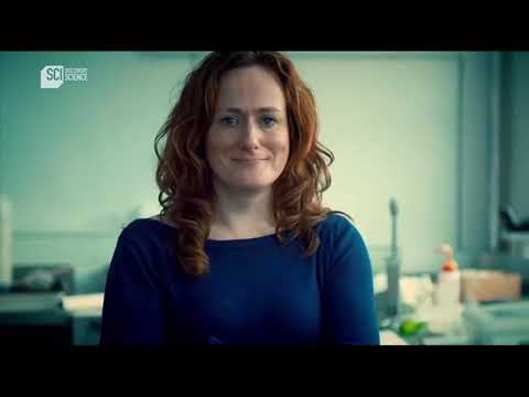 Tarihe Yakından Bakış Sfenks