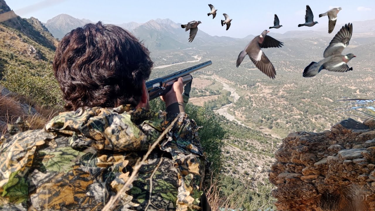 Wood pigeons hunting adventure || Khyber hunting tube ...