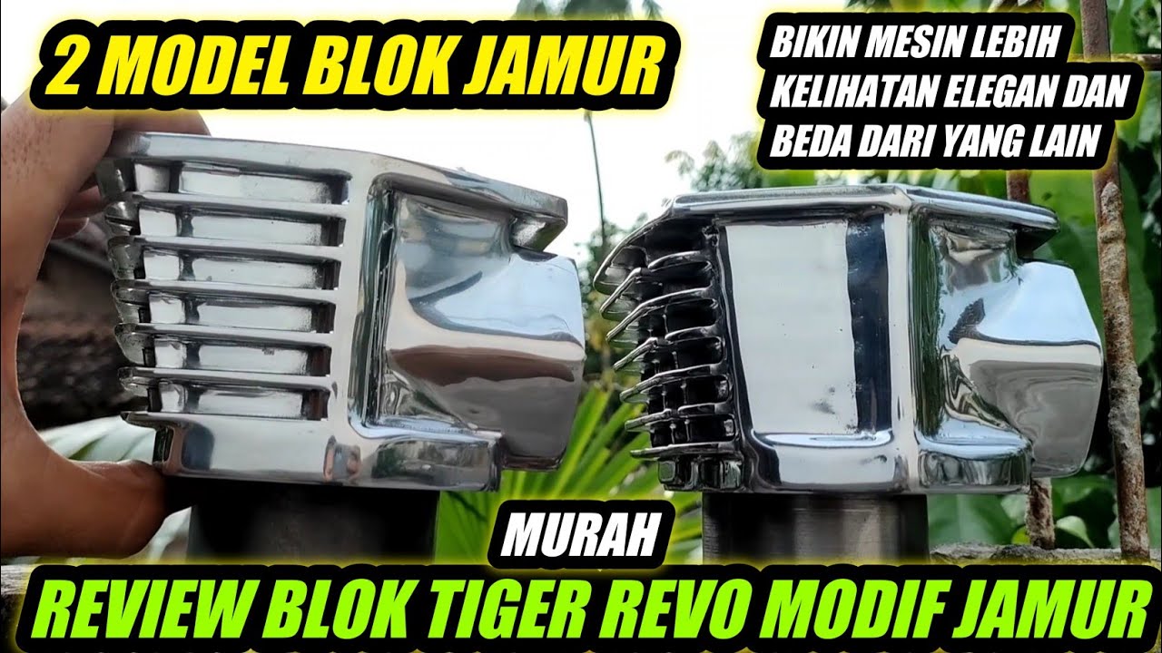 KIRIM BLOK TIGER REVO MODIF JAMUR || BLOK TIGER REVO MODIF JAMUR - YouTube