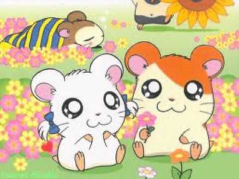 Hamtaro - YouTube