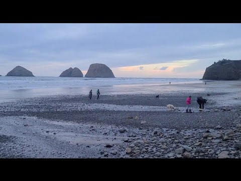 Oregon coast January 2024 - YouTube