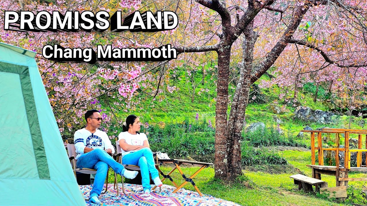 (4k) PROMISS LAND [official MV] ศิลปิน : ช้างแมมมอธ - YouTube