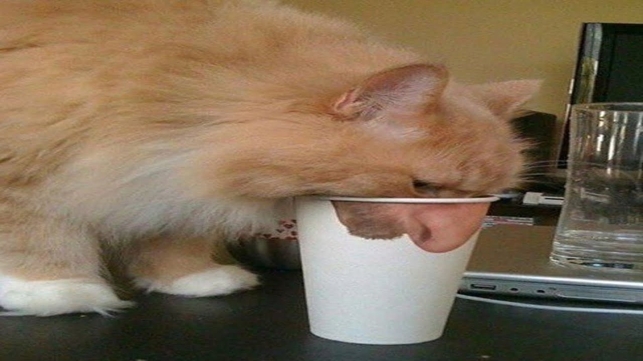 Memes that smell good - YouTube