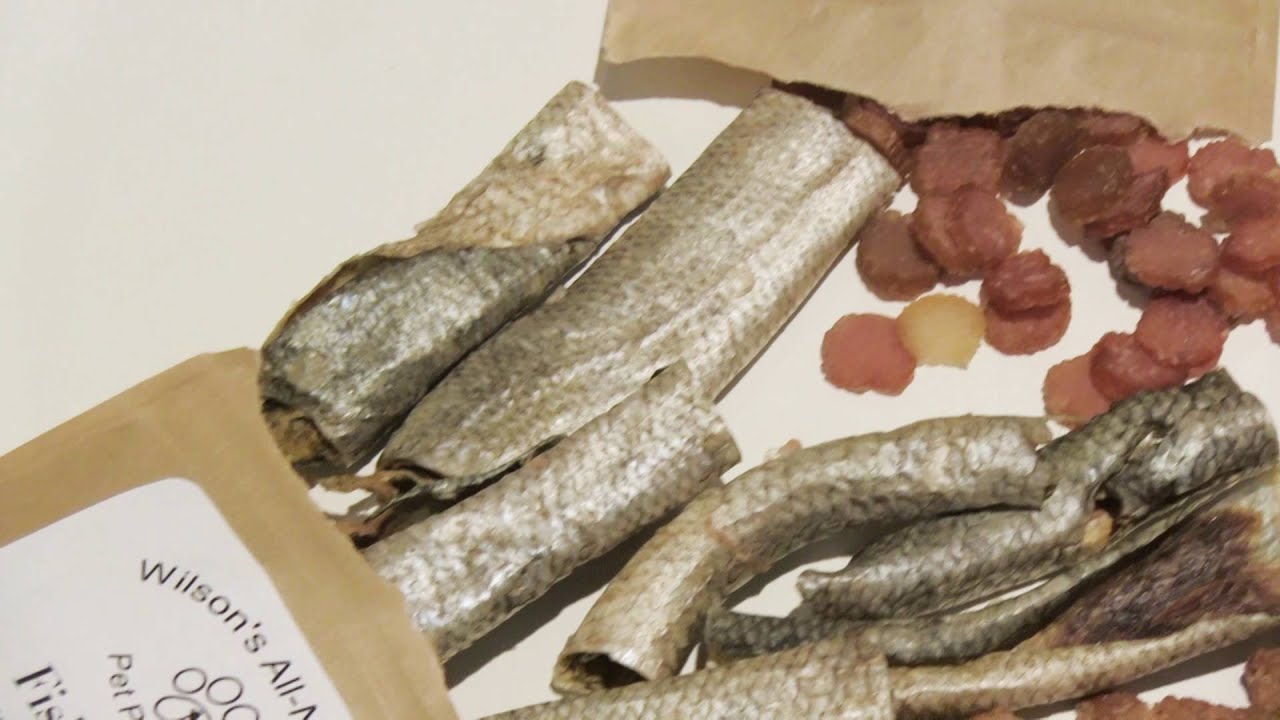 Taste test: Asian carp pet treats - YouTube