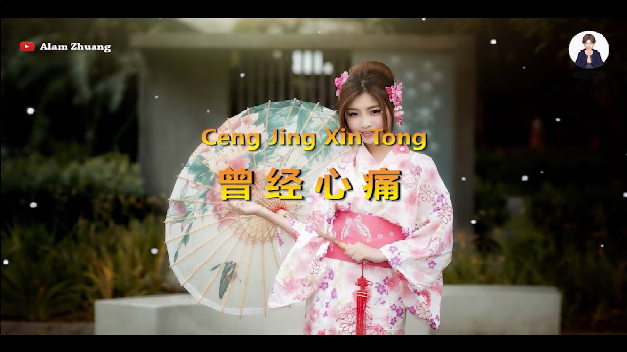 Ceng Jing Xin Tong ( 曾 经 心 痛 ) - Karaoke Female - YouTube