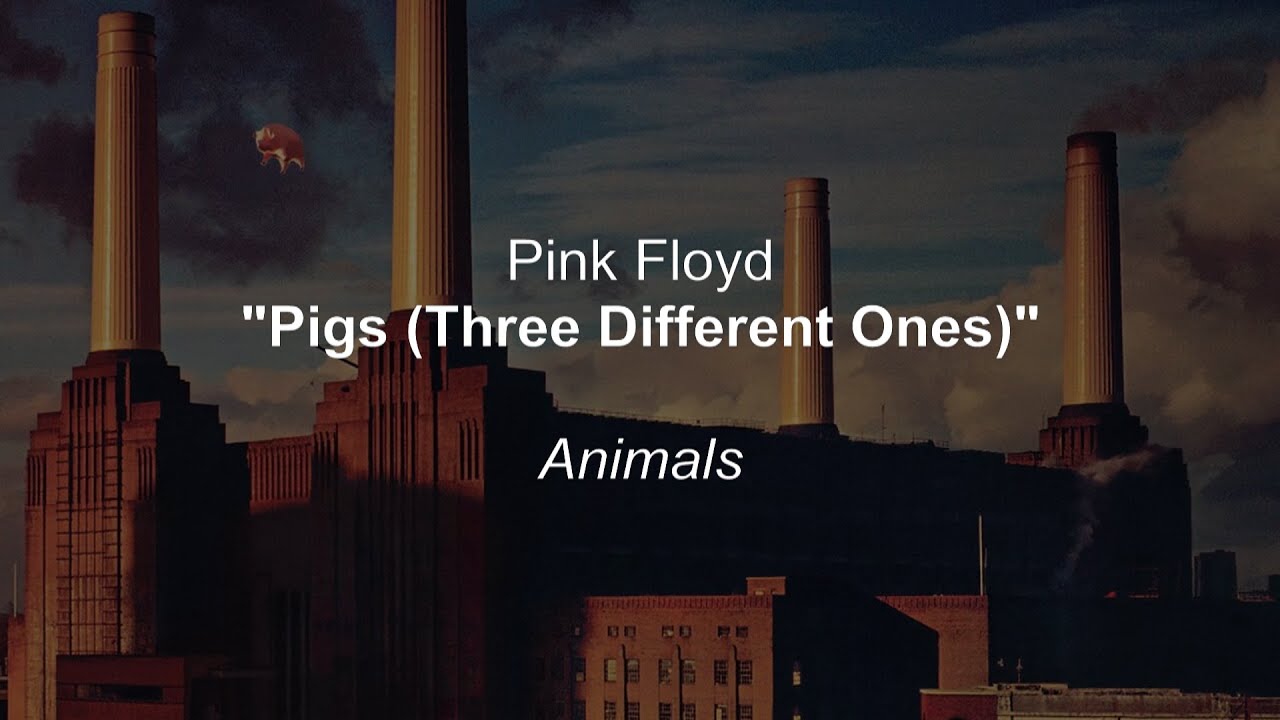Pink Floyd - Pigs (Three Different Ones) (Lyrics) - YouTube