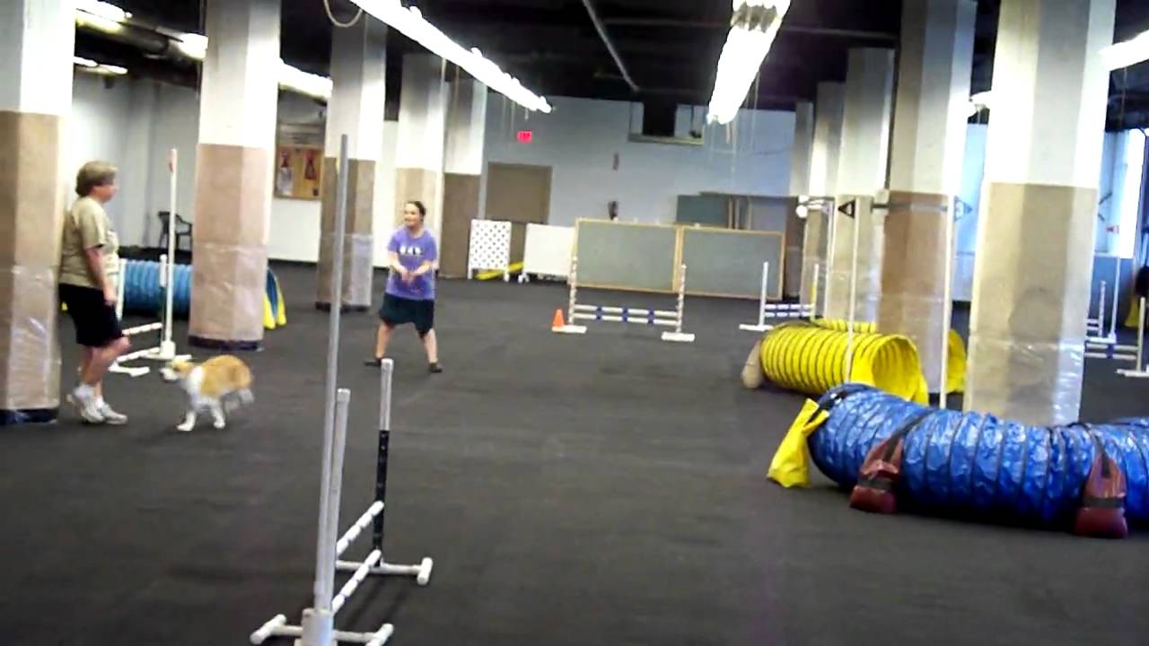 CPE Snooker, level 2 (Q) (Indy - July 12, 2009) - YouTube