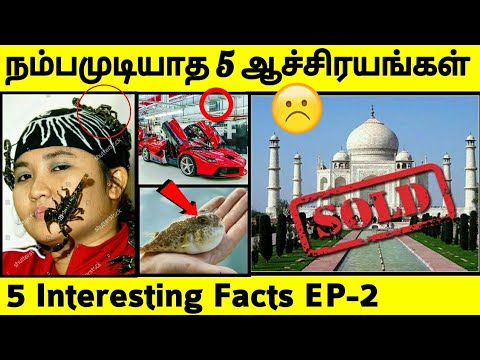 Top 5 "Interesting Facts" in Tamil - Unknown and "Amazing Facts" EP- 2 ...