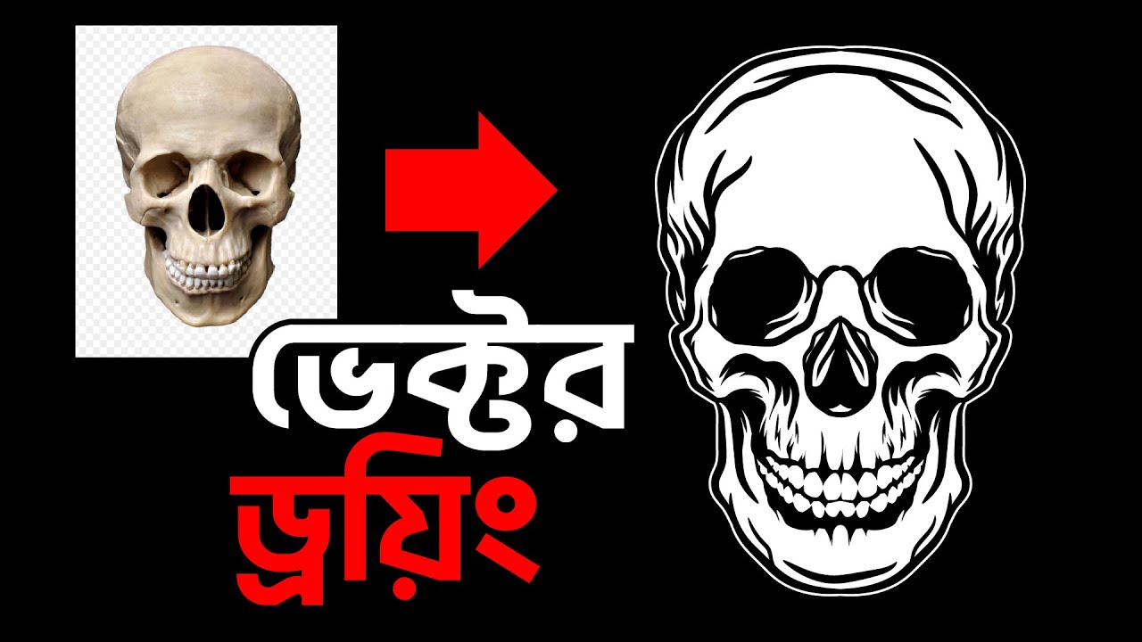 ভেক্টর ড্রয়িং শেখা যেভাবে শুরু করতে পারেন | Vector Drawing Tutorial ...