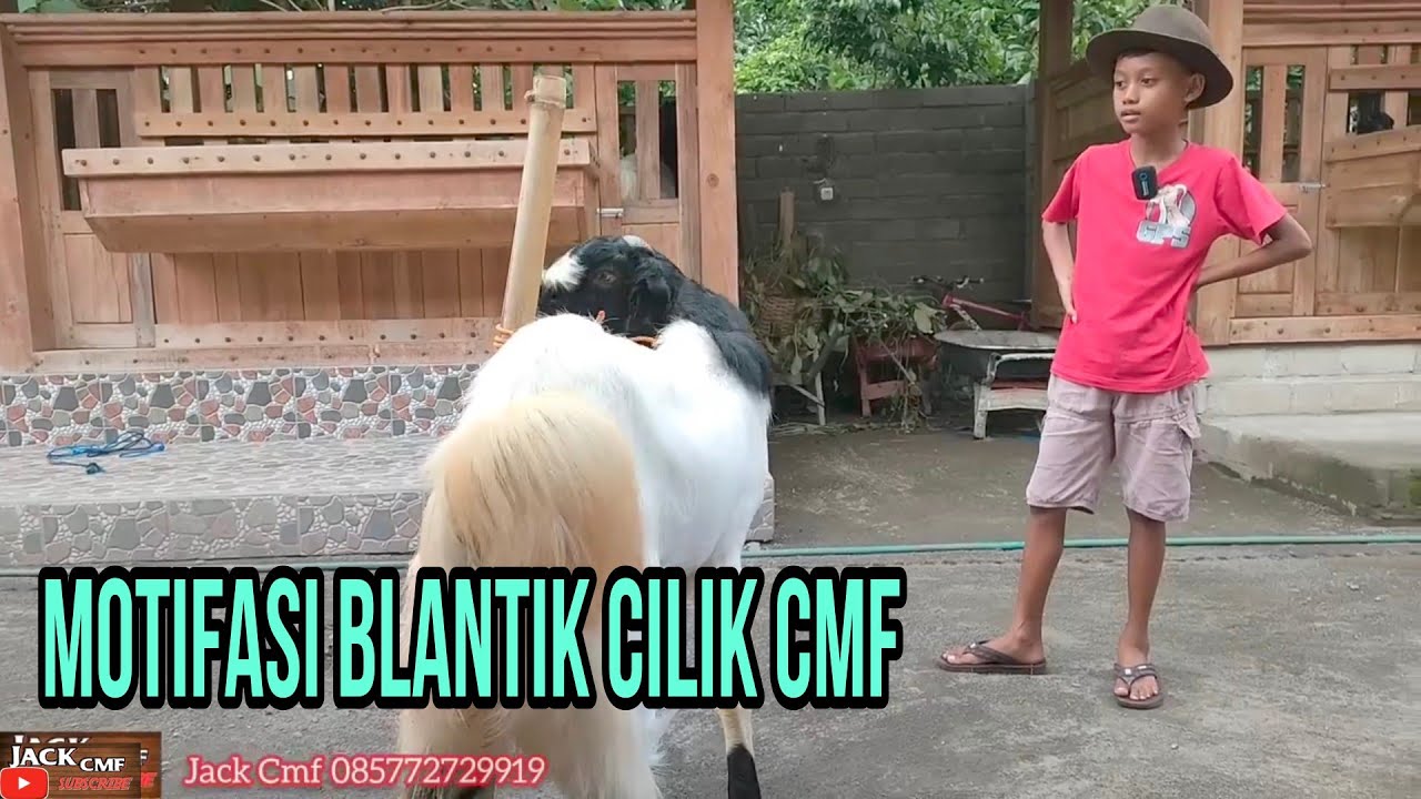 KEGIATAN BLANTIK CILIK SEBELUM BERANGKAT SEKOLAH - YouTube