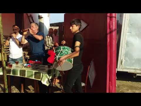 Qara zurna mamed toycu