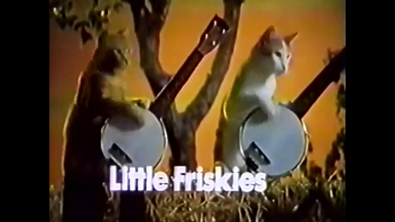 Little Friskies Ain't We Got Fun TV Commercial HD - YouTube