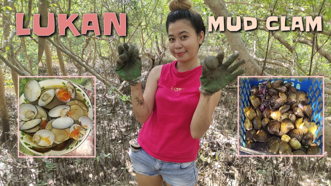 VLOG#24 Lukan Shell Paano Nakukuha ? ( Clam Soup That Everyone Will ...