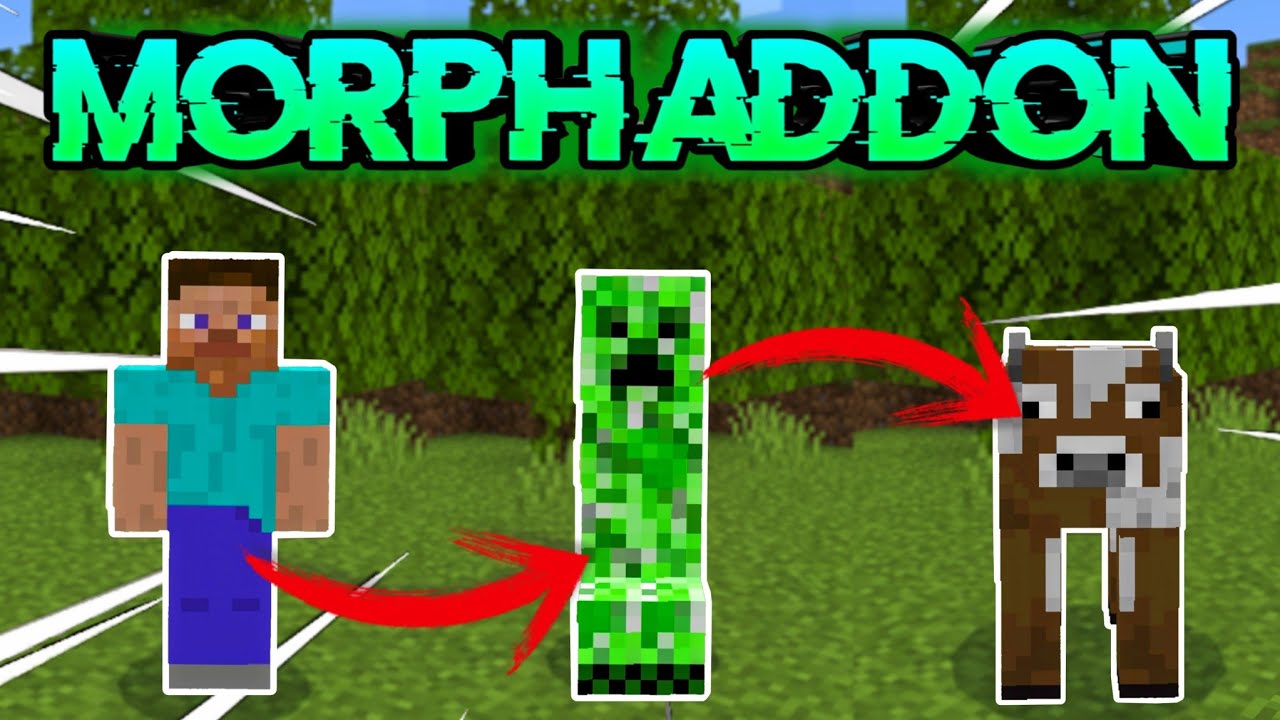 COMO TRANSFORMARSE EN MOBS 🤩 | Morph Addon Minecraft Bedrock 1.19 - YouTube