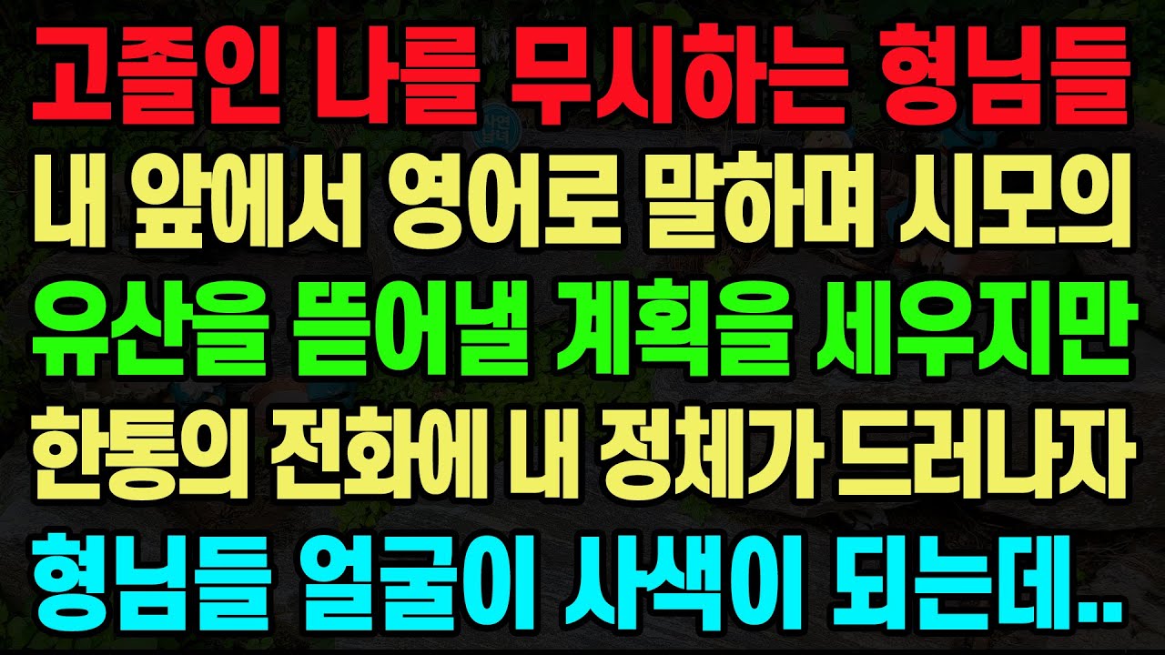 실화사연 고졸인 나를 무시하는 형님들 내 앞에서 영어로 말하며 시모의 유산을 뜯어낼 계획을 세우지만 한통의 전화에 내 정체가 드러나자 형님들 얼굴이 사색이 되는데